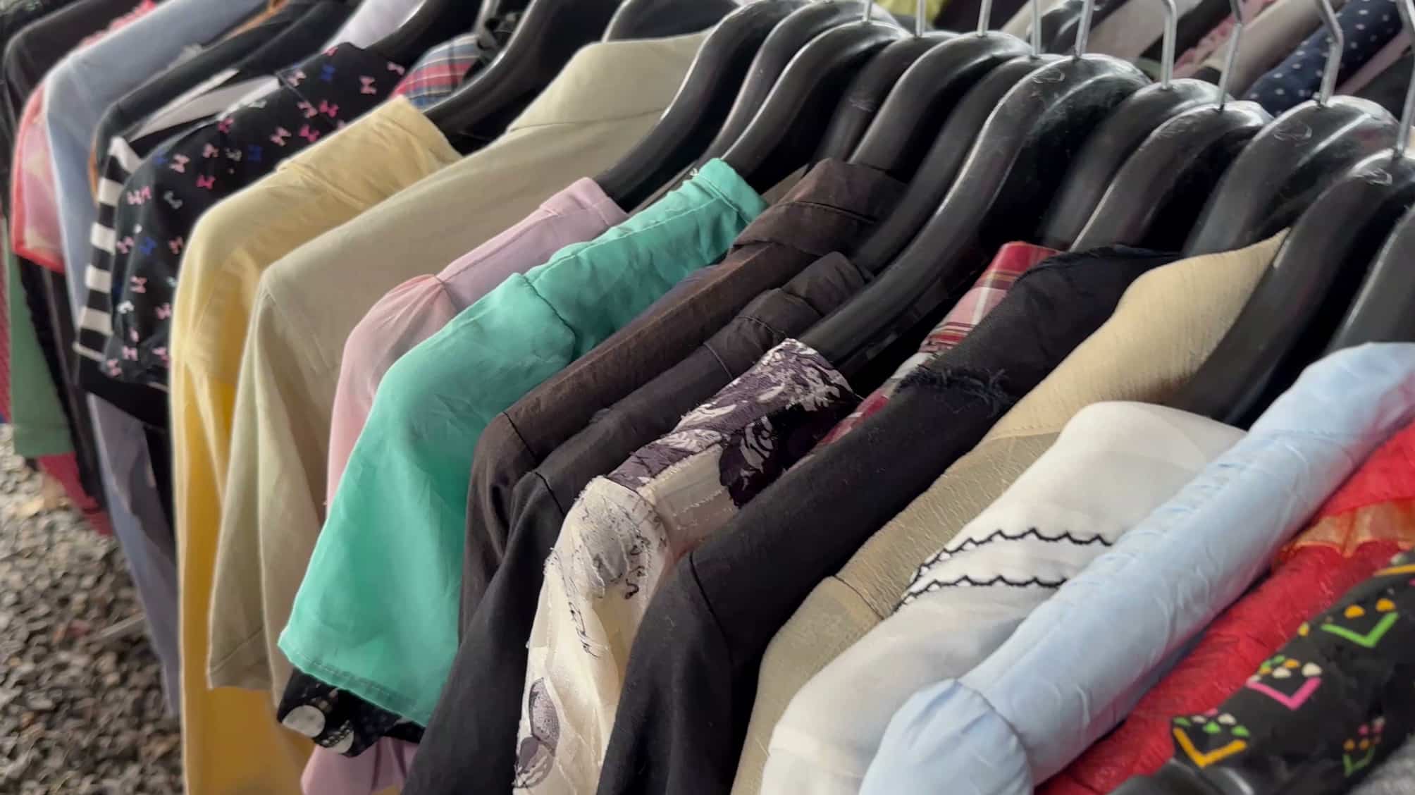 Eco-Chic Redefines Luxury in Conscious Couture | P&C Global